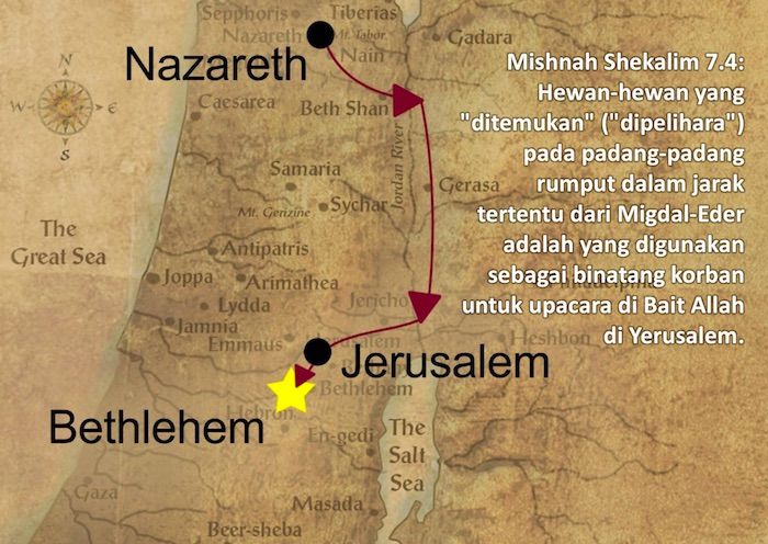 MIGDAL EDER dan DOMBA YANG DIKORBANKAN - SarapanPagi Biblika Ministry